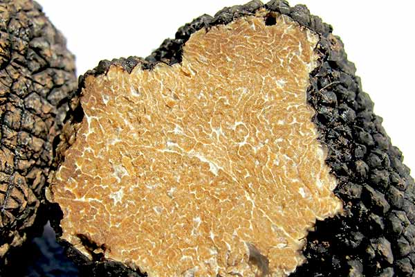 A Truffle Isn’t a Trifle To Us: A History - The Chocolate Truffe